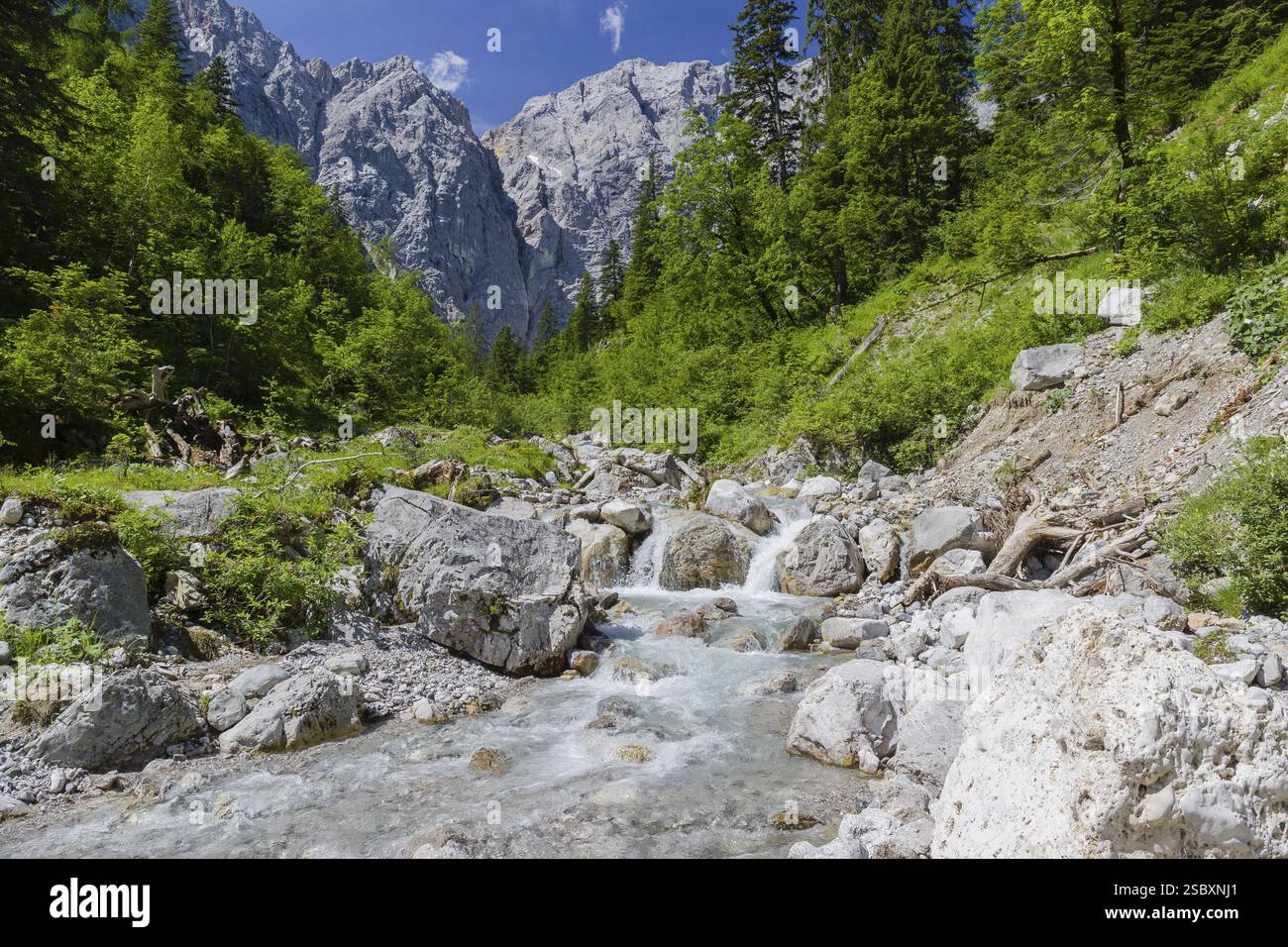 Enger park hi-res stock photography and images - Alamy