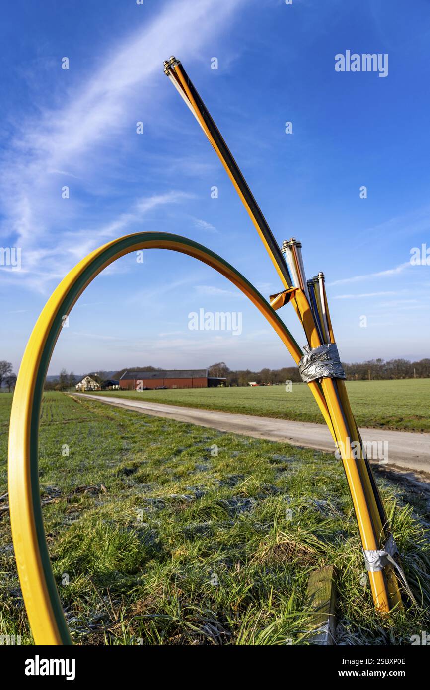 Fibre optic connection, empty conduits protrude from the ground along a ...