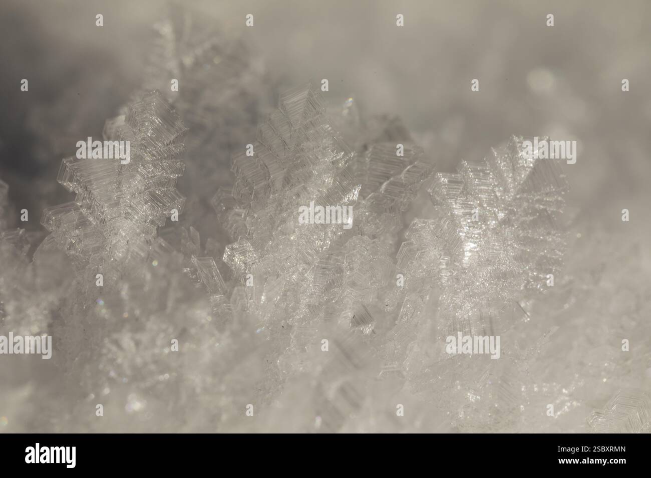 Snow crystals in back lit condition in the Eng valley Stock Photo - Alamy