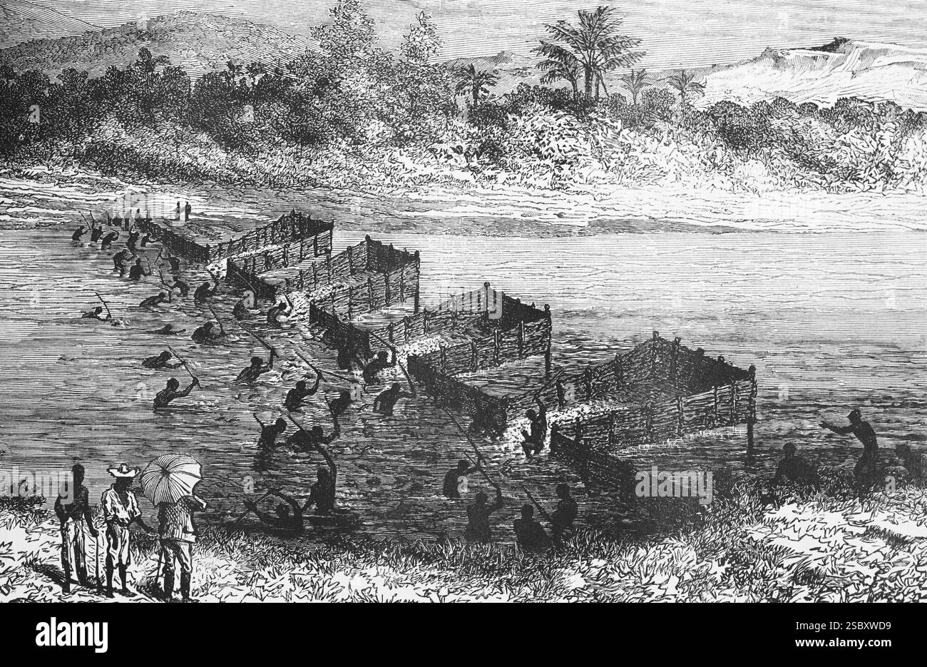 Fishing with fish traps in the Niger, locals drive fish with sticks ...