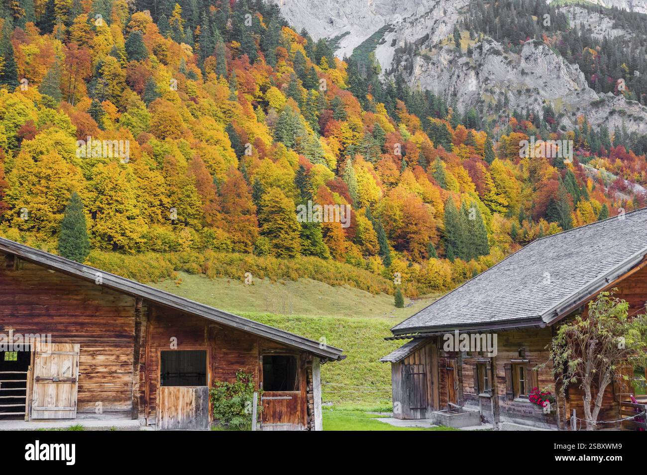 Farm buildings of the Eng alp, Eng valley, Tyrol, Austria, Europe Stock ...