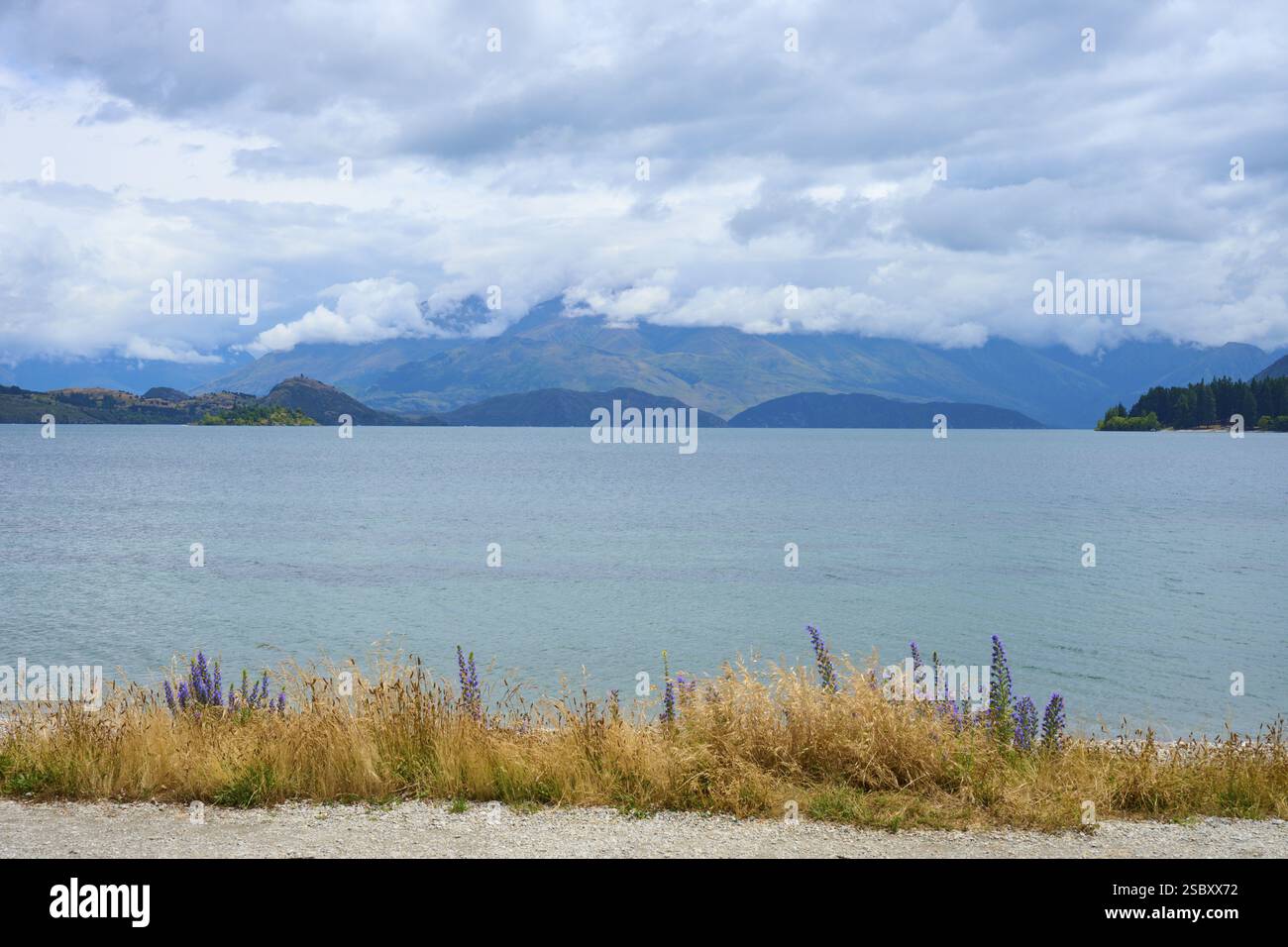 View of a calm lake with mountains in the background and cloudy sky ...