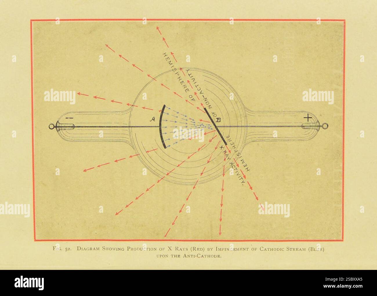 Hemisphere of X Ray Activity, extracted from The X Ray, or, Photography ...