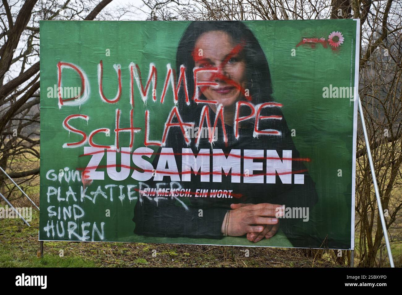 Denigration of a large poster for the 2025 federal election by the ...