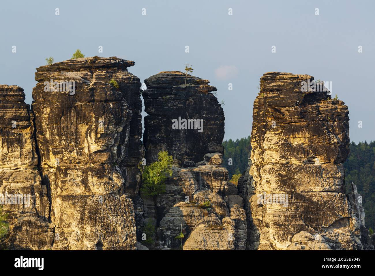 Bastei rocks hi-res stock photography and images - Alamy