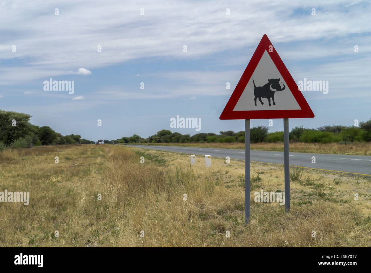 Traffic sign with warning of warthogs, Namibia, Africa Stock Photo - Alamy