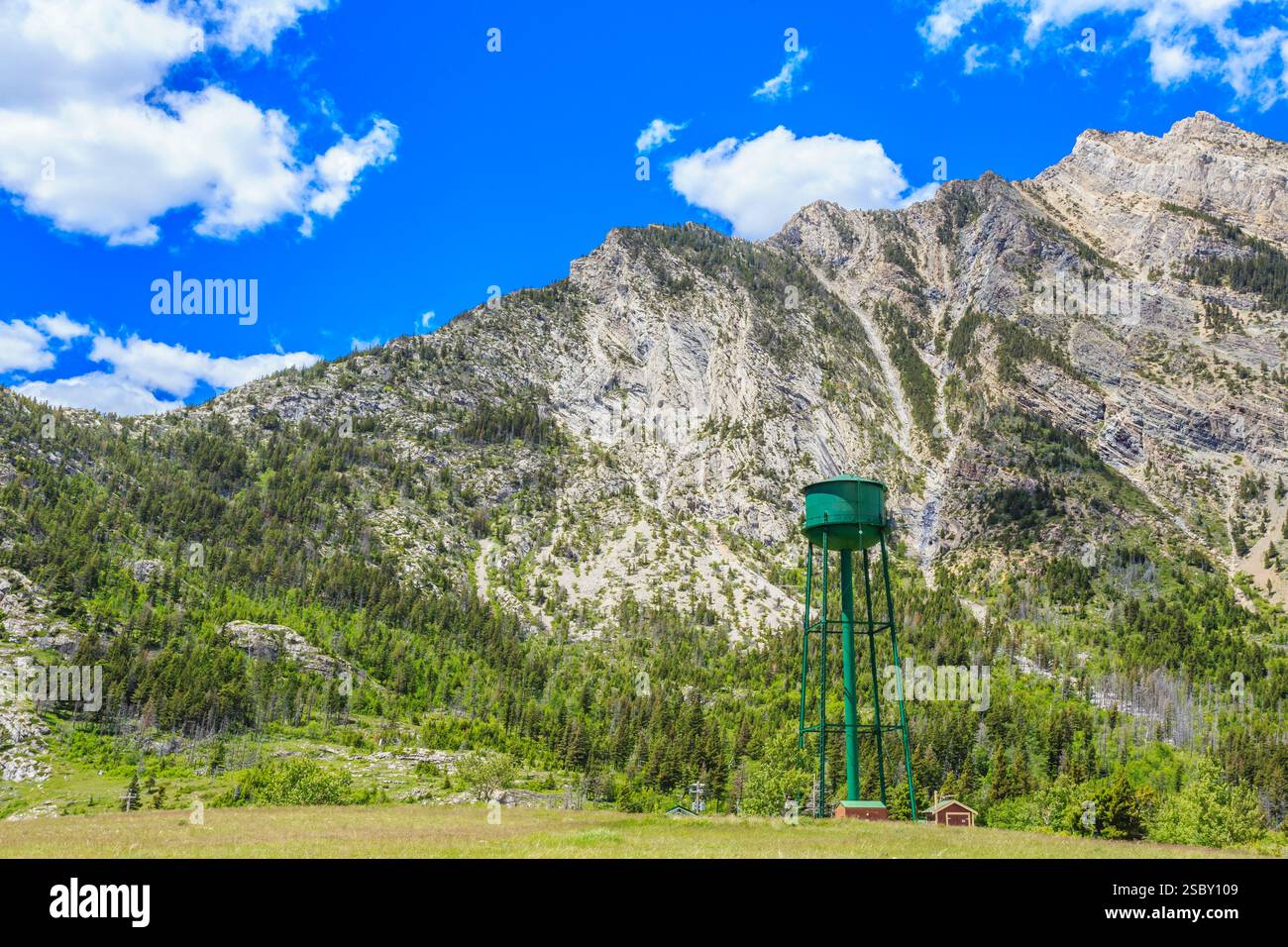 Green water tower is on a hillside. The hillside is covered in trees ...