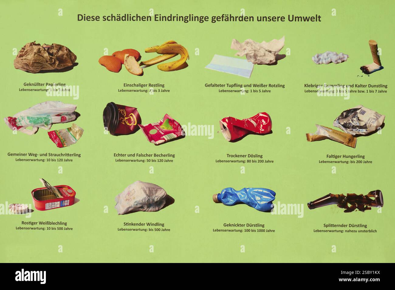 Poster shows different types of waste with their decomposition time ...