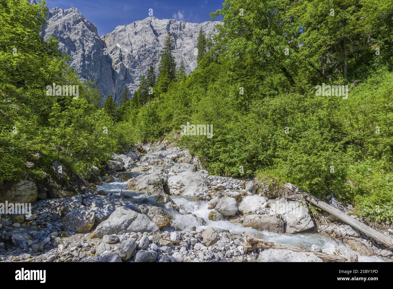 Enger park hi-res stock photography and images - Alamy