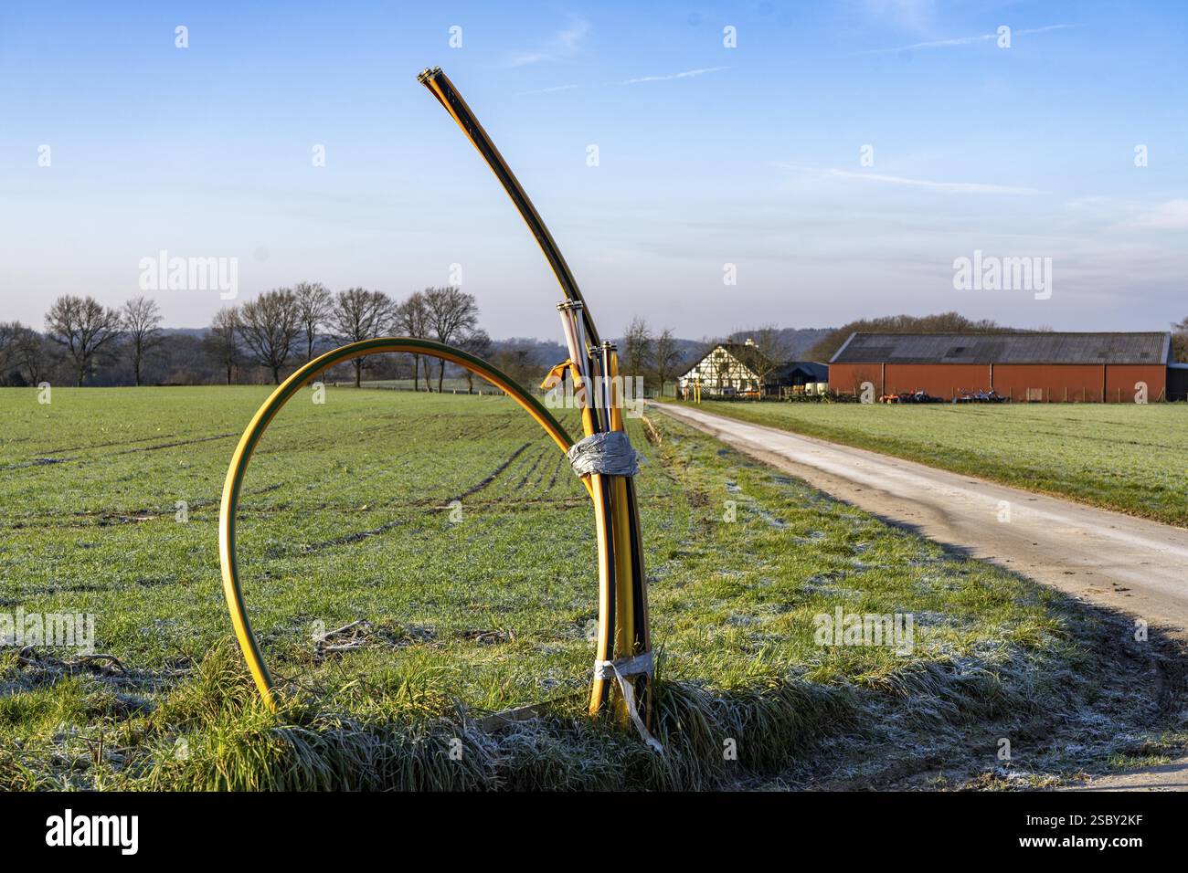 Fibre optic connection, empty conduits protrude from the ground along a ...