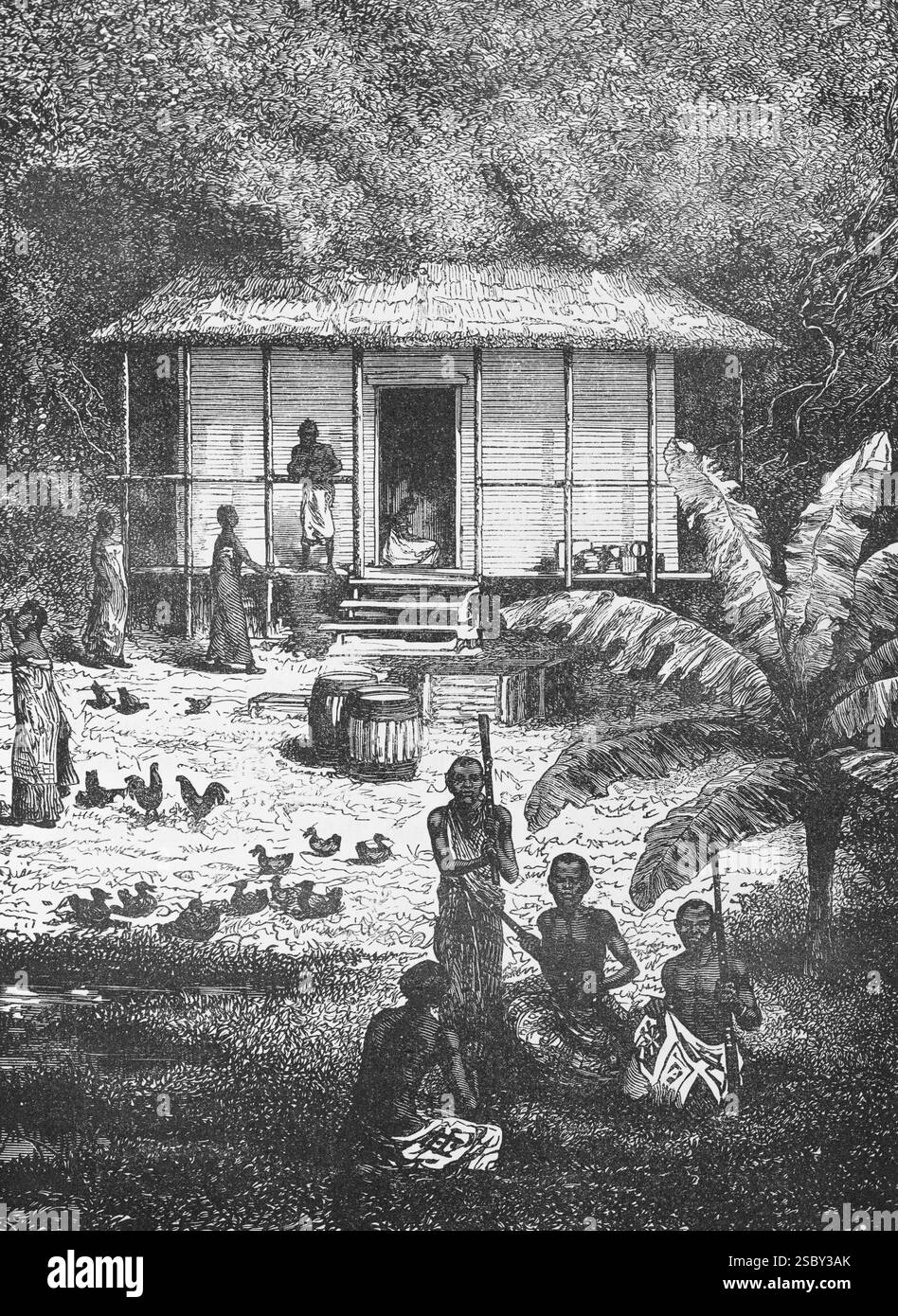 Wooden house of a labourer's family on a plantation, 19th century ...