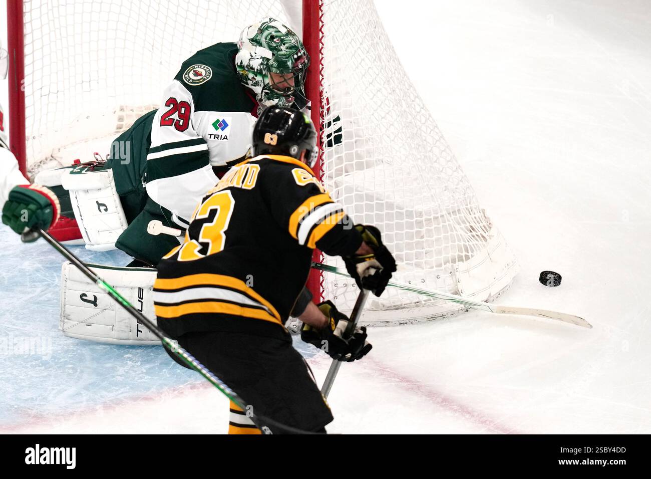 Minnesota Wild goaltender Marc-Andre Fleury (29) tries to clear the ...
