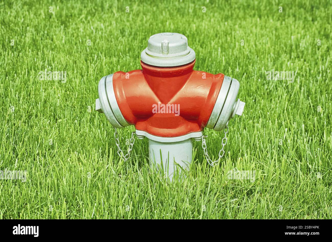 Fire Hydrant in the Grass Varna, Bulgaria, Europe Stock Photo - Alamy
