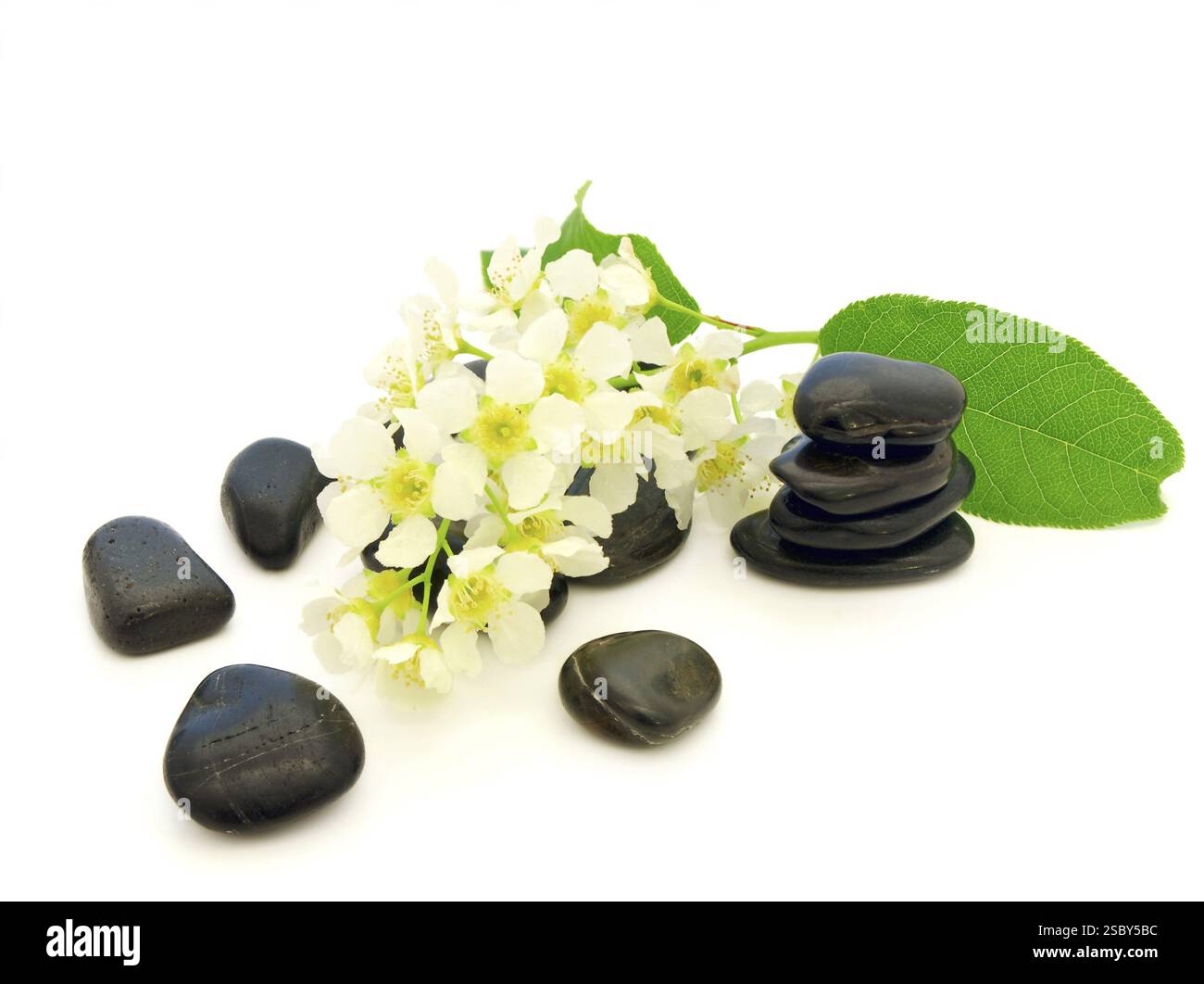 Baltic religion Cut Out Stock Images & Pictures - Alamy