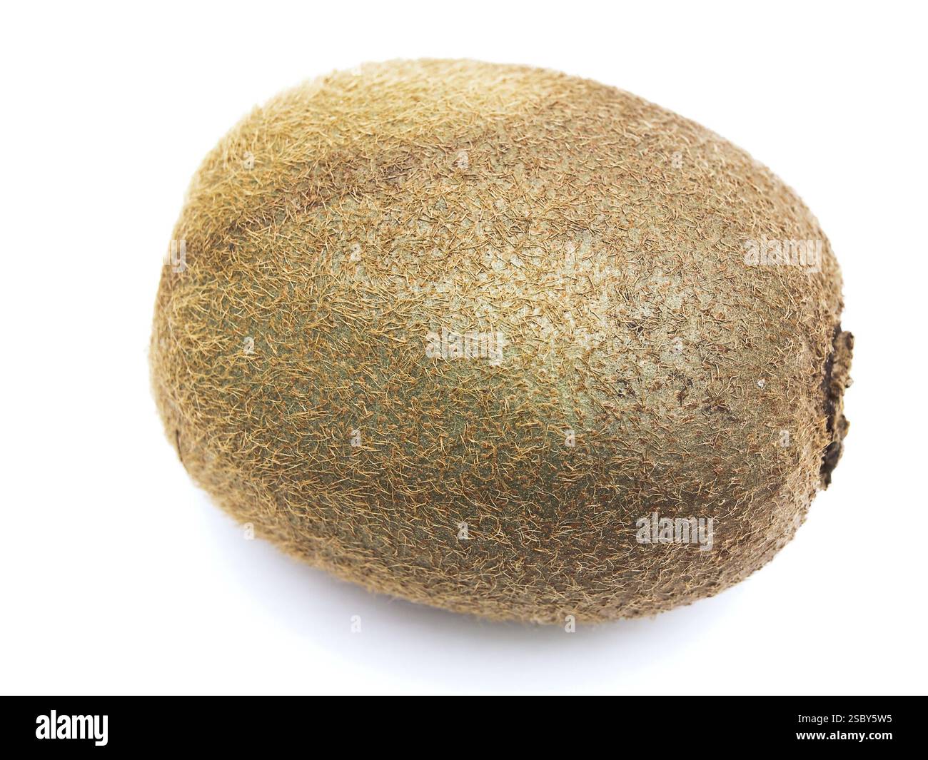 Photo of the single kiwi against the white background Stock Photo - Alamy