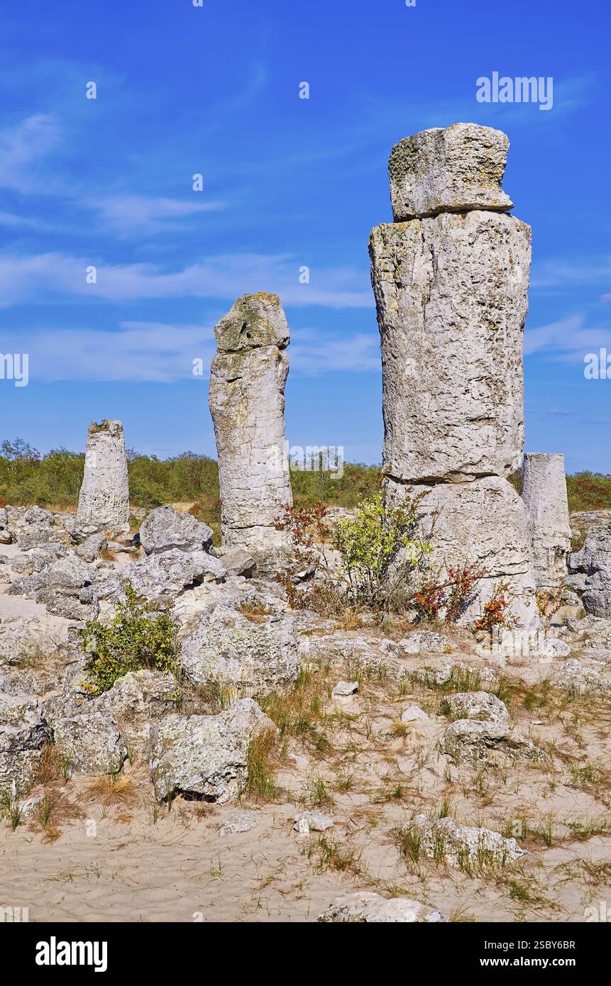 The Stone Desert (Pobiti Kamani) - Fabulous Rock Phenomenon in Varna ...