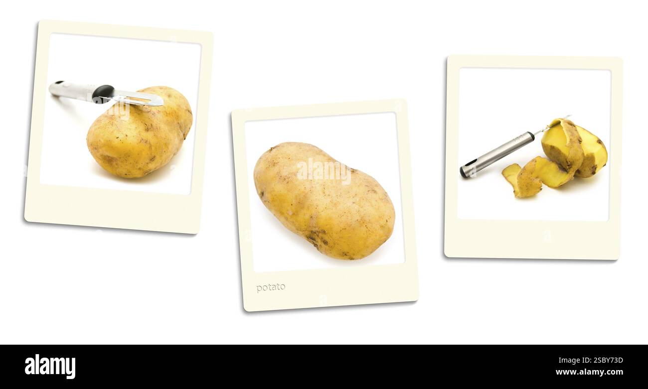 Thre Old Style Photos Of Potato Over White Background Stock Photo - Alamy