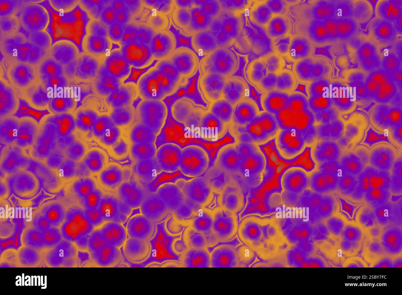 Shape of bacterial cell: cocci, bacilli, spirilla bacteria background ...
