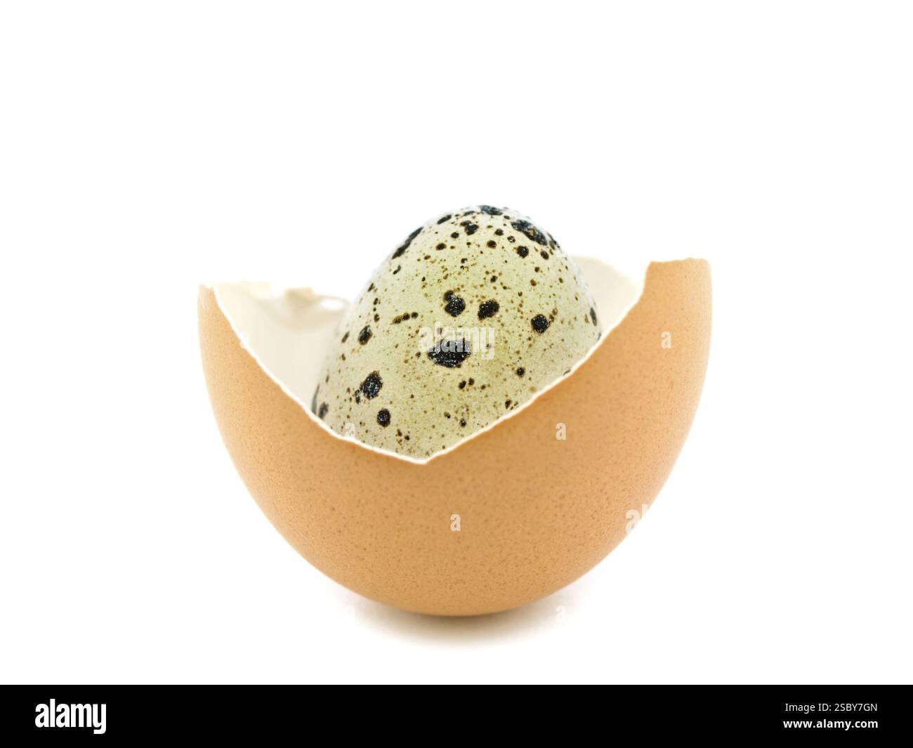 Empty egg shell Cut Out Stock Images & Pictures - Alamy