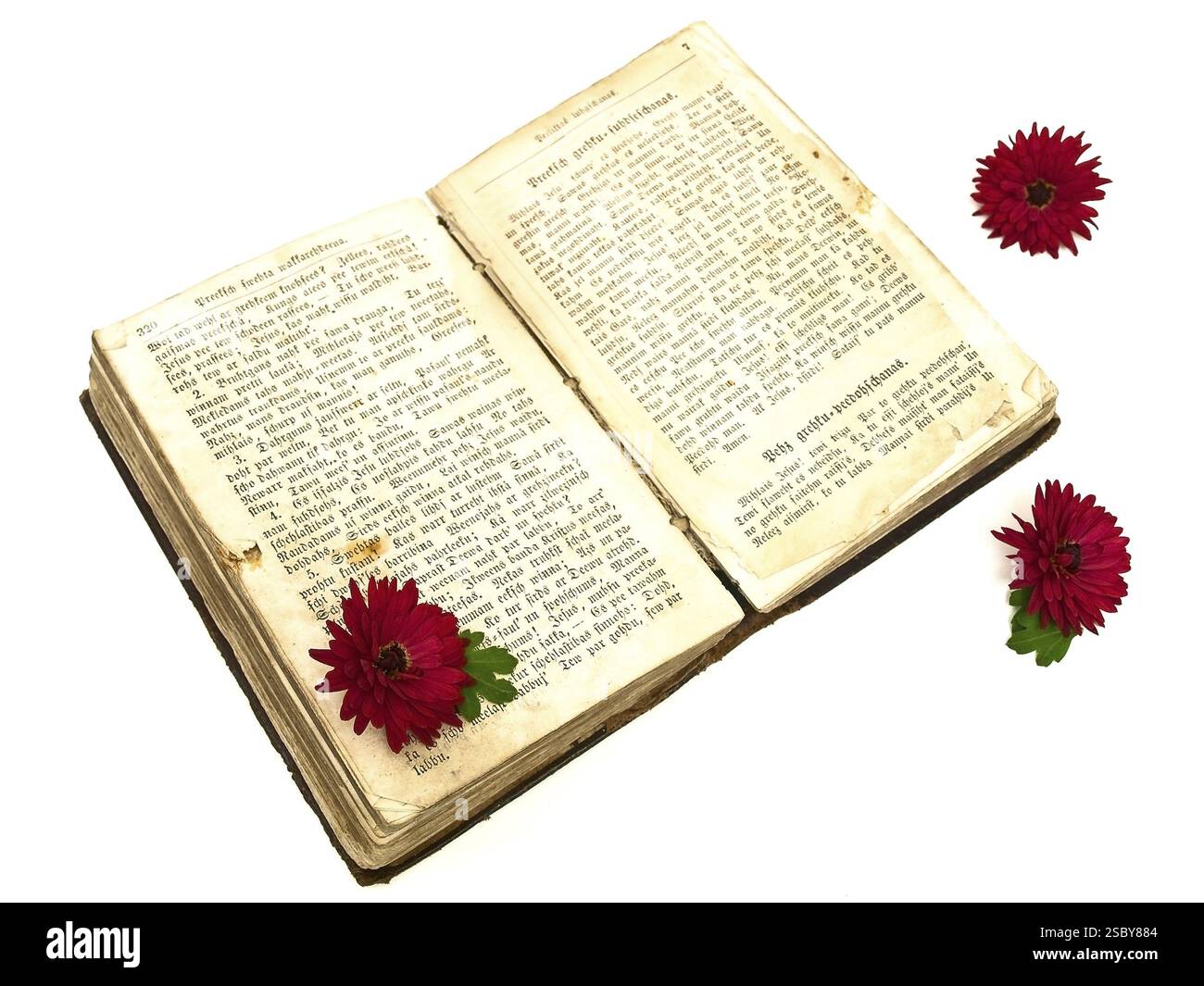 Flowers and books Cut Out Stock Images & Pictures - Alamy