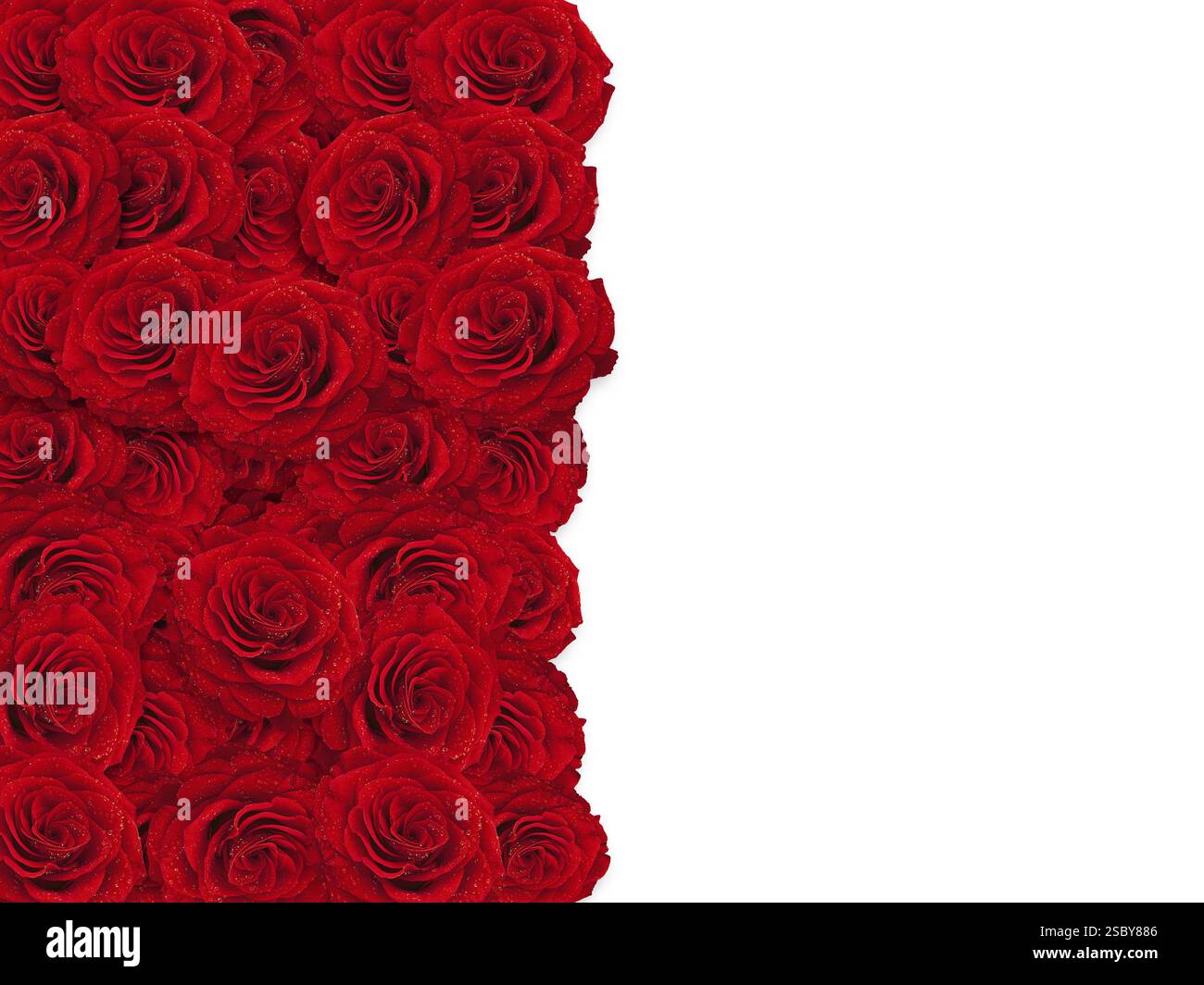 Red roses frame over white background, copyspace Stock Photo - Alamy