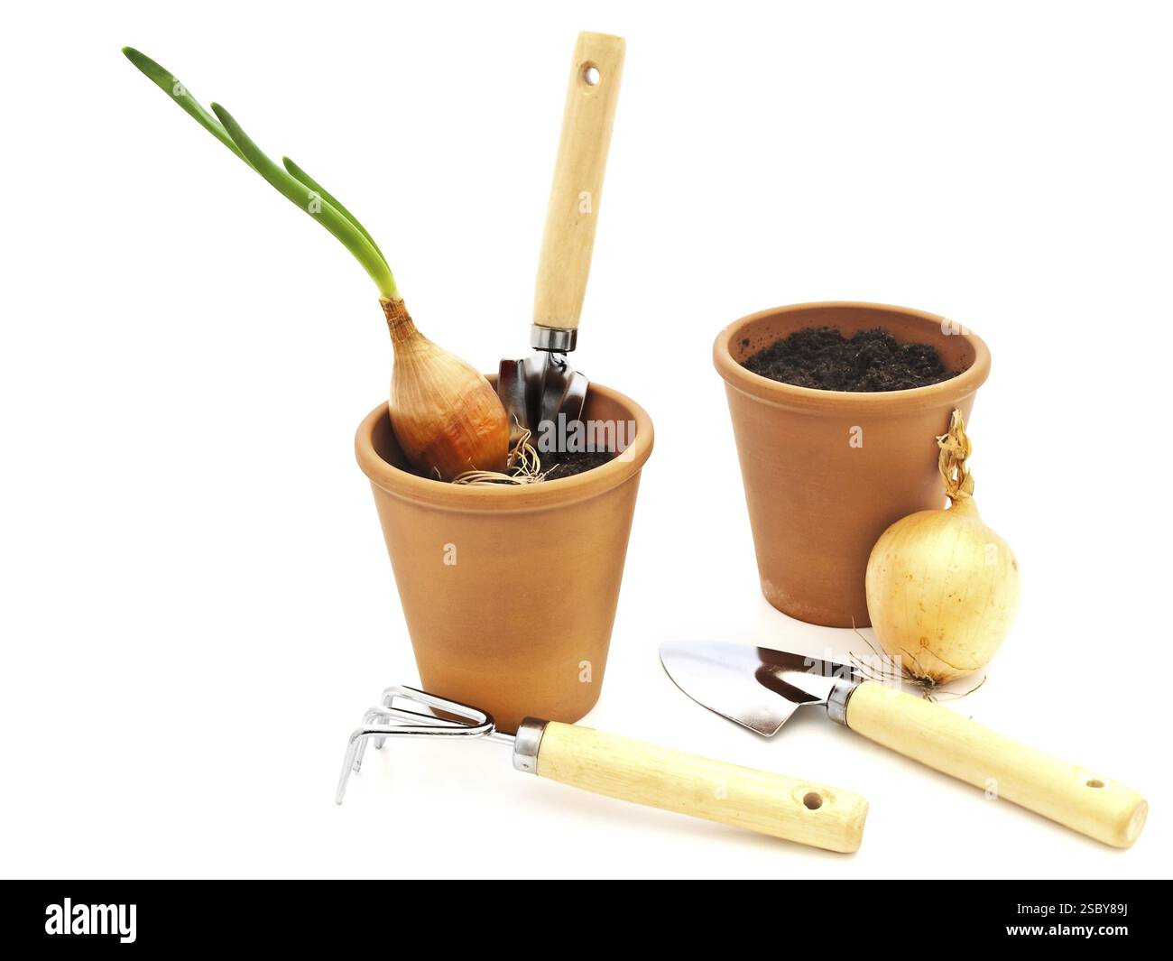 Some Gardening Tools And Pots With Black Soil And Green Onion Against ...