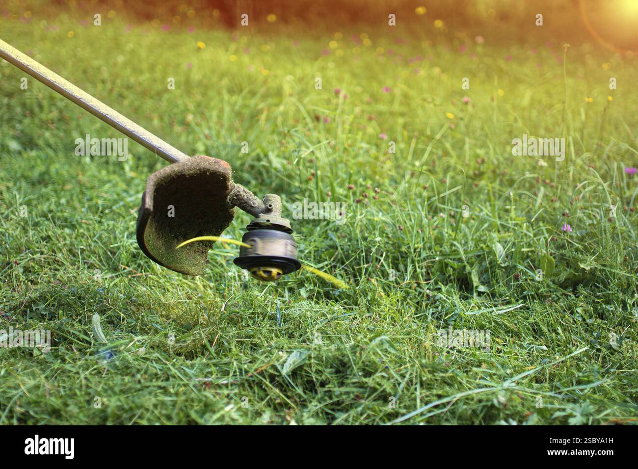 A grass trimmer cutting lawn in a brightly lit garden during summer ...