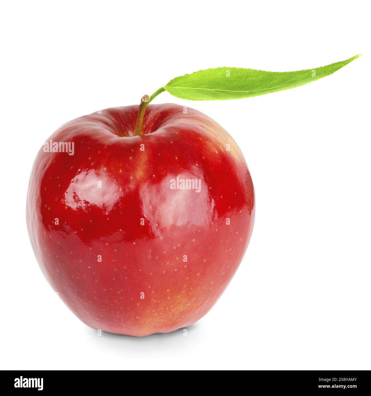 Th white Cut Out Stock Images & Pictures - Alamy