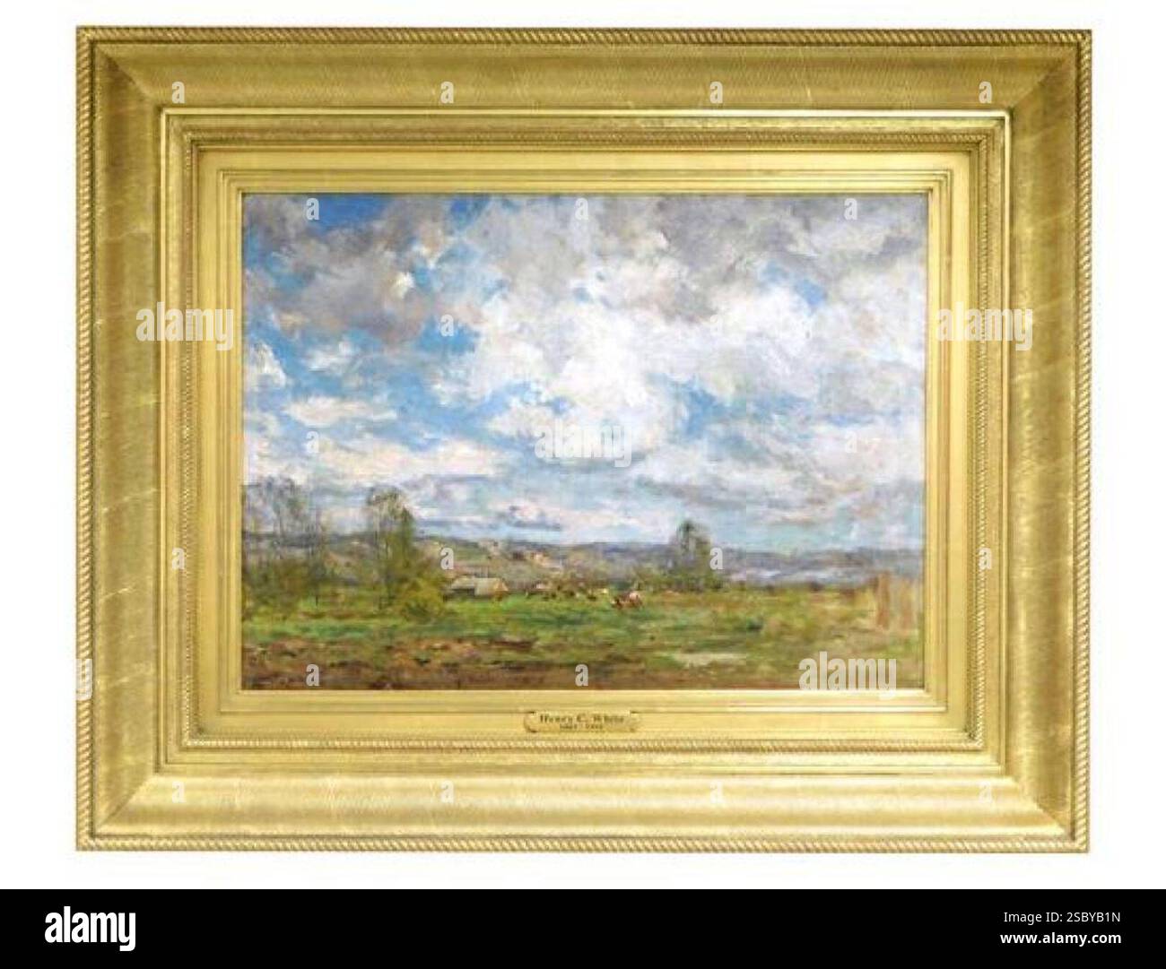 Henry Cook White Stock Photo - Alamy