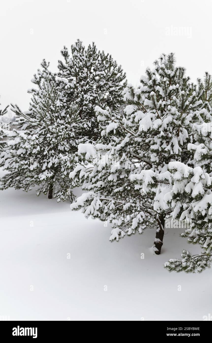 Empty winter landscape deep hi-res stock photography and images - Alamy