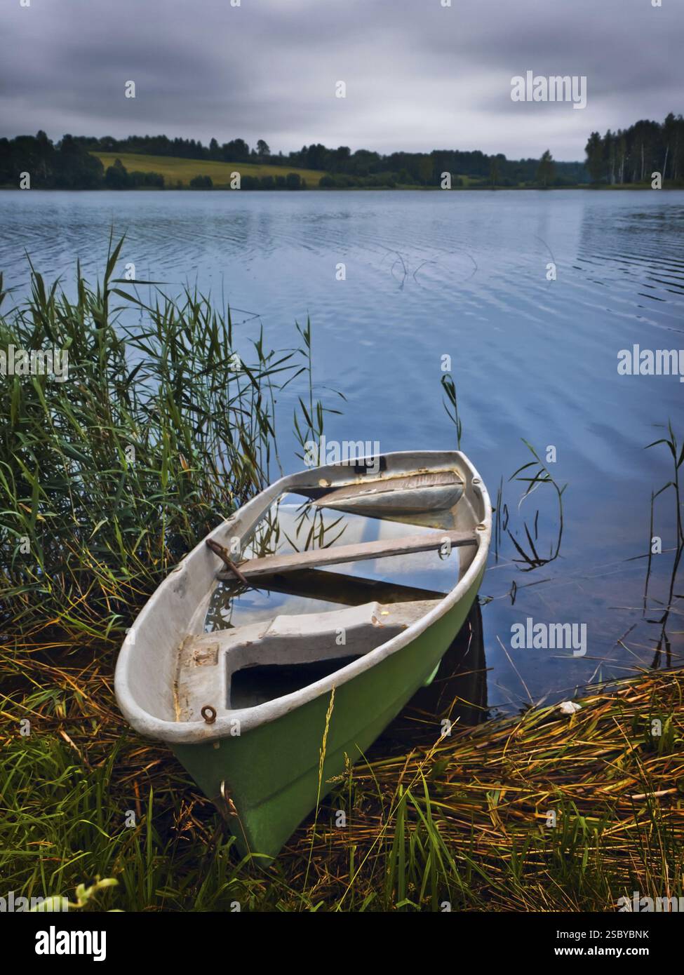 Shore lakeside hi-res stock photography and images - Alamy