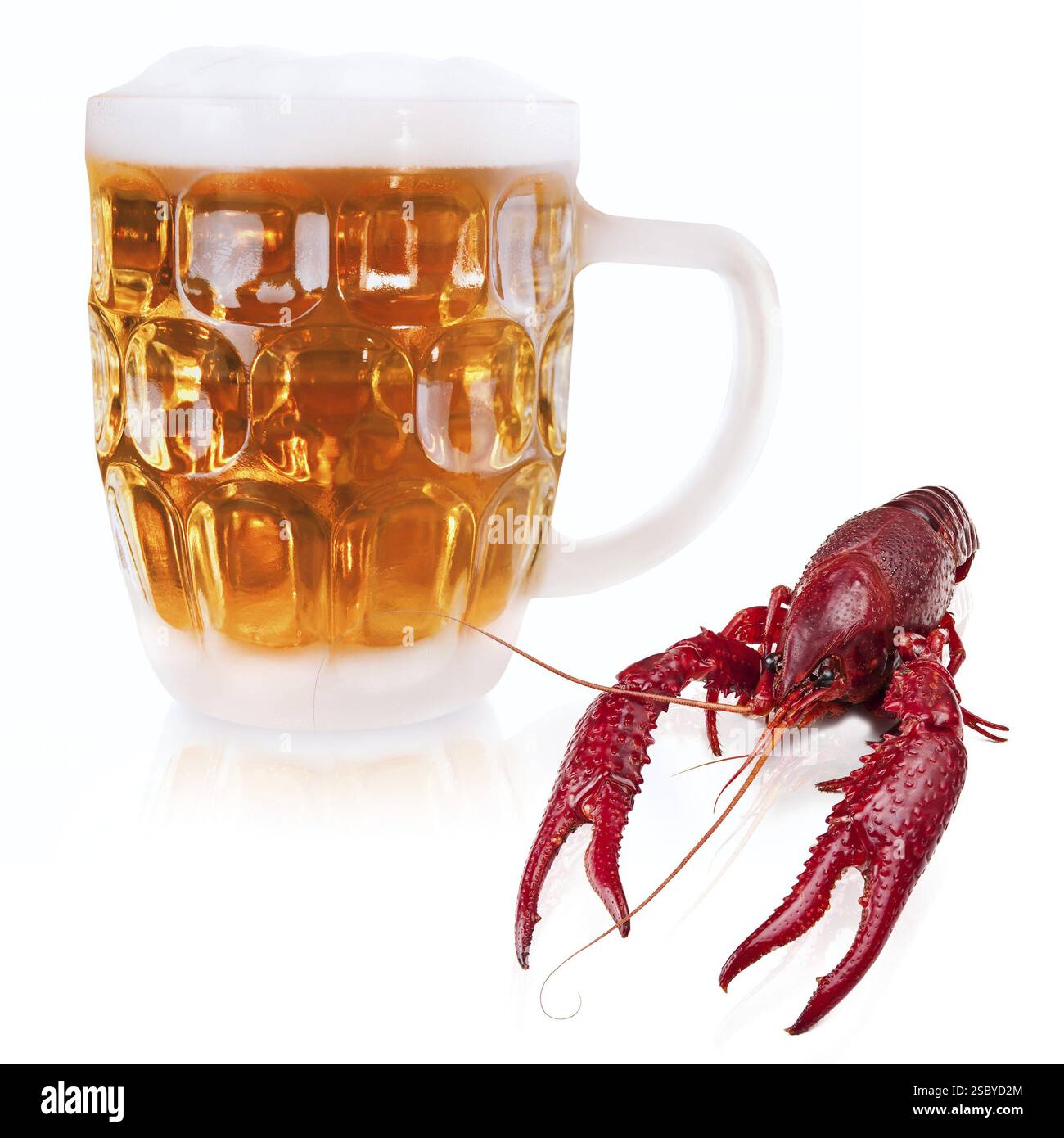 Red boiled crawfish and mug of beer over the white Stock Photo - Alamy