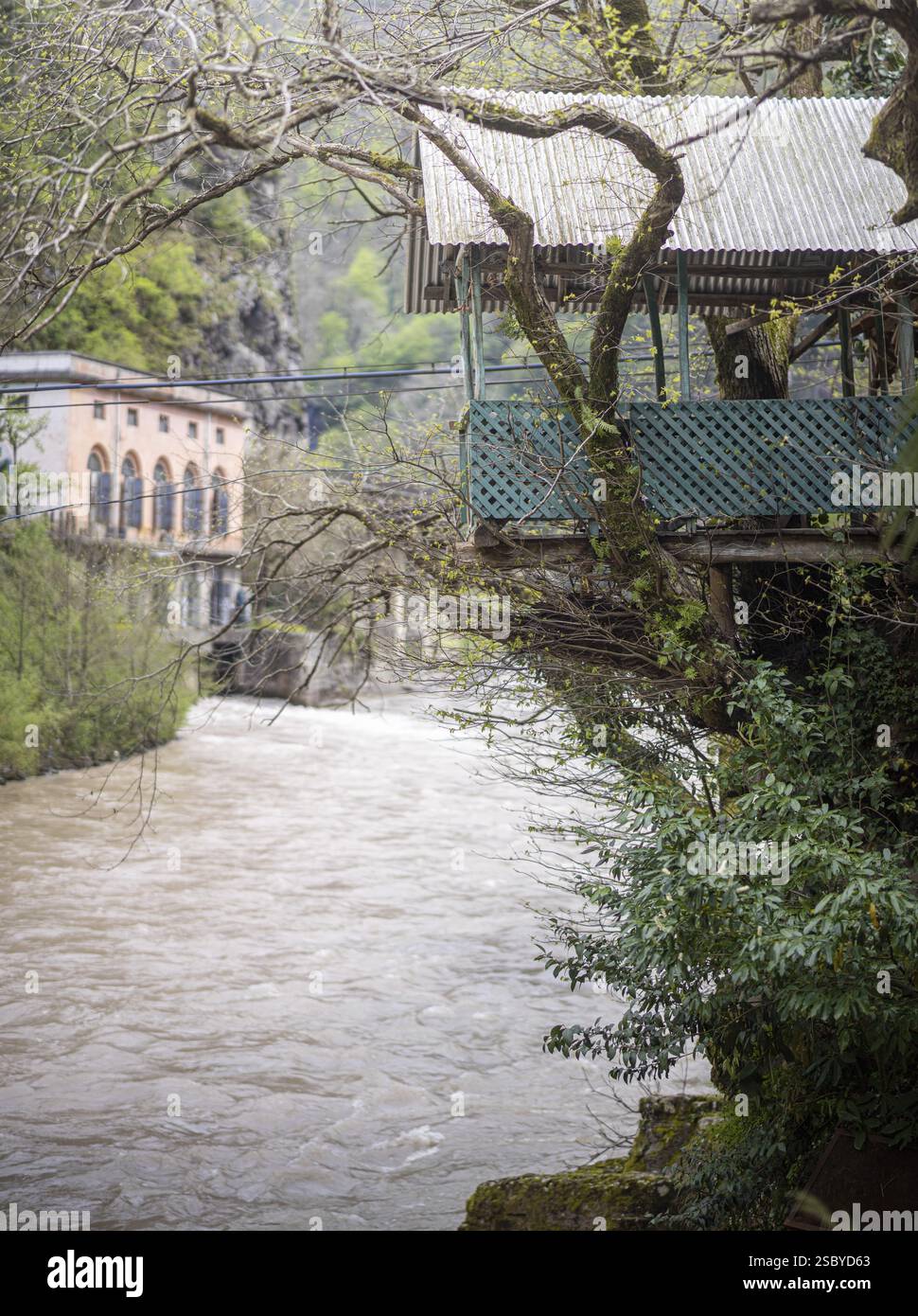 Wooden treehouse overlooking a river surrounded by lush greenery and ...