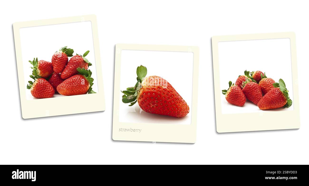 Bright coloured photos Cut Out Stock Images & Pictures - Alamy