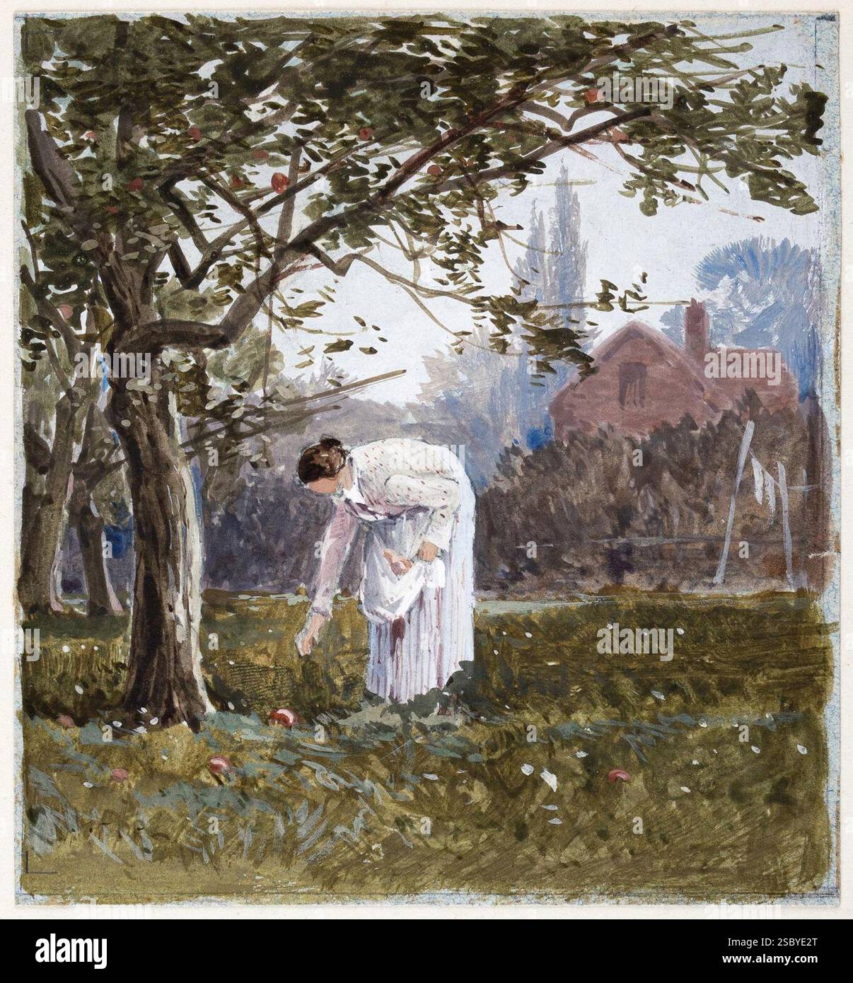 Henry martin pope hi-res stock photography and images - Alamy
