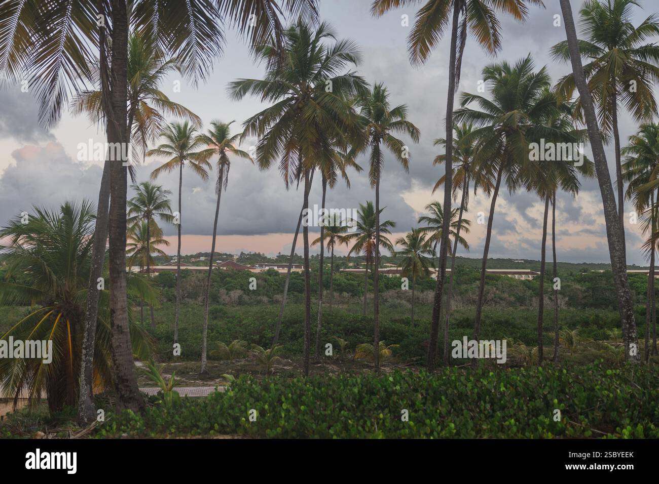 View from the beach of the Grand Palladium Imbassai all inclusive ...