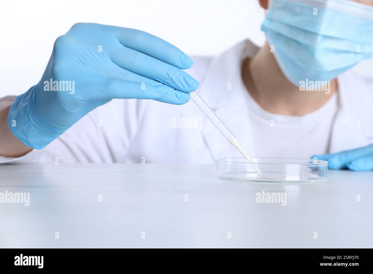 Laboratory testing. Scientist working with Petri dish at white marble ...