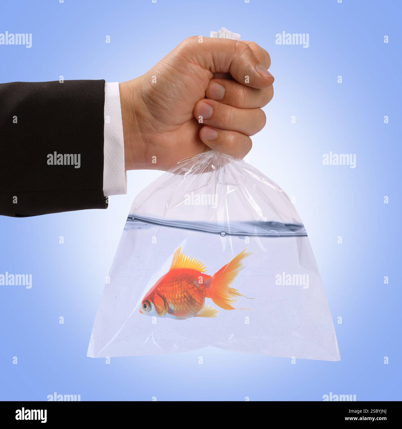Man holding plastic bag with fish and water on light blue background ...