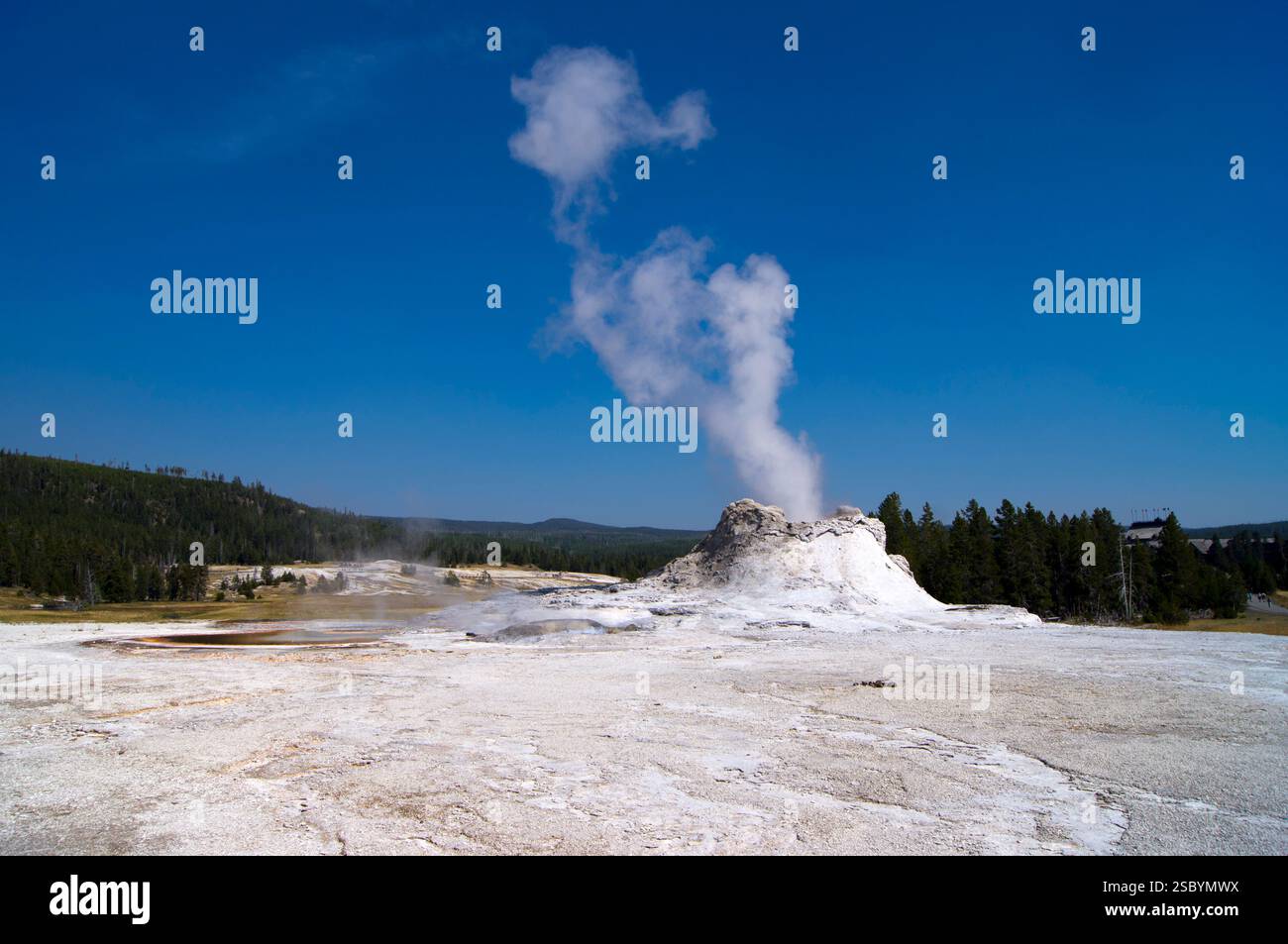 Steam issuing from the mouth of Castle Geyser in Yellowstone National ...