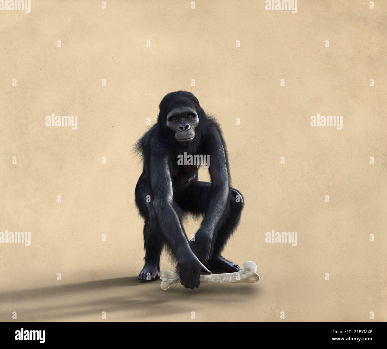 Illustration of 'Lucy', a young female Australopithecus afarensis ...