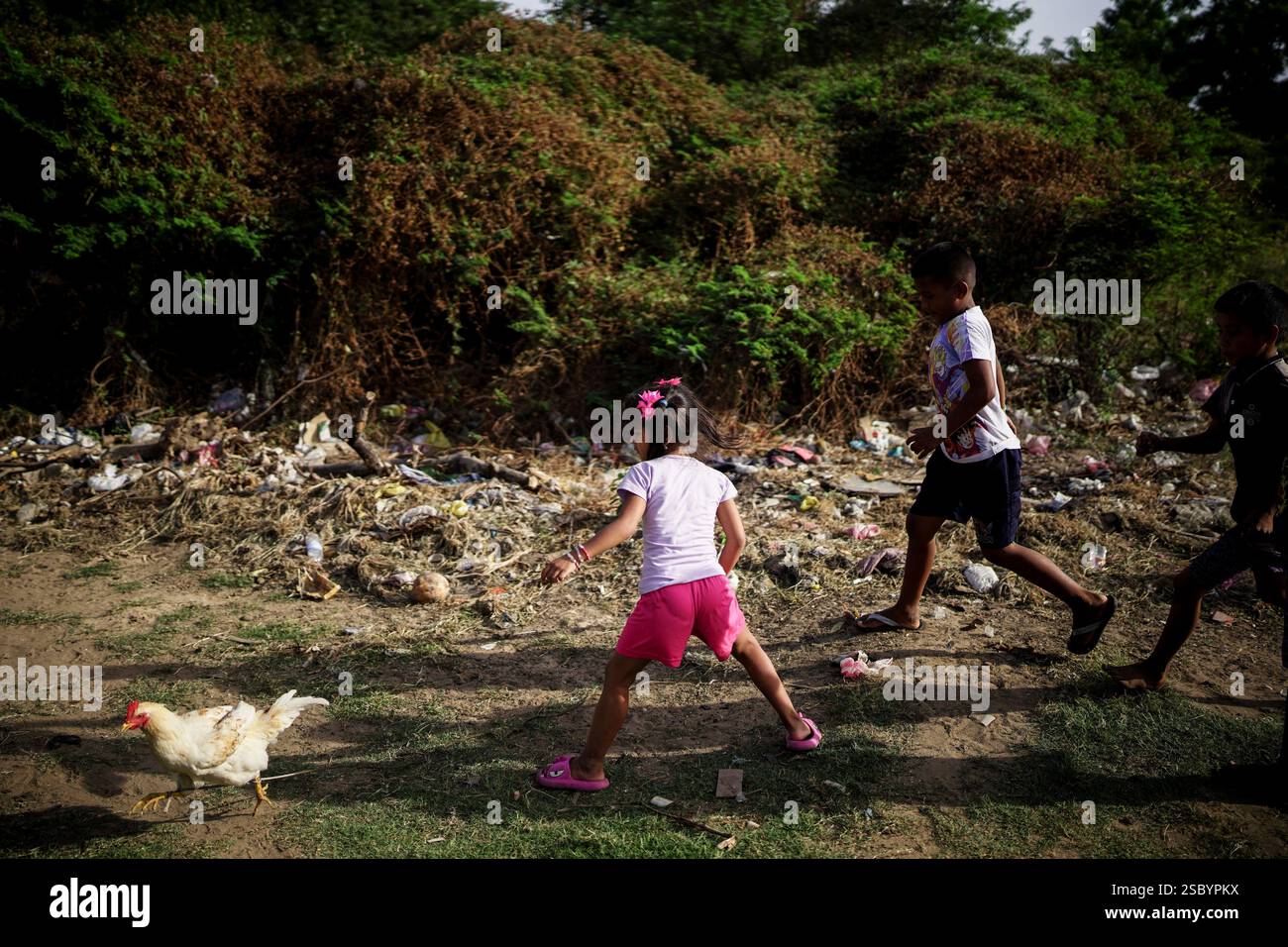 Venezuelan migrants, of the Wayuu Indigenous group, play with a chicken ...