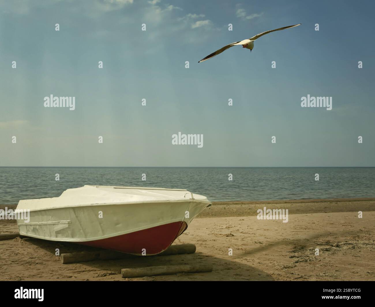 Sea boat at beach, flying single seagull in blue sky Stock Photo - Alamy