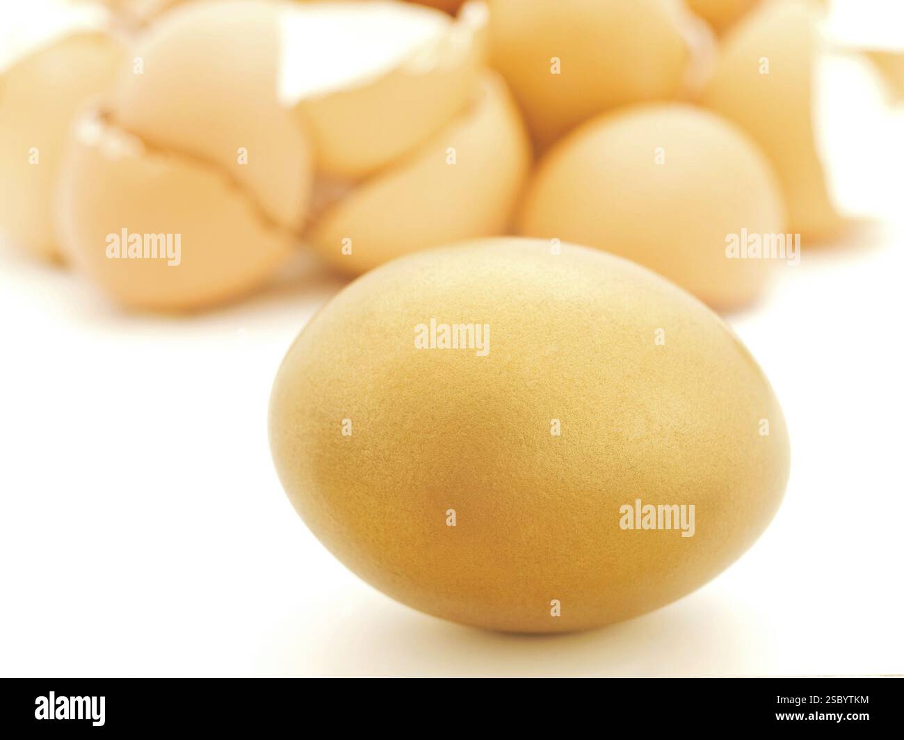 Single Golden Egg Against Heap Of Egg Shell Stock Photo - Alamy