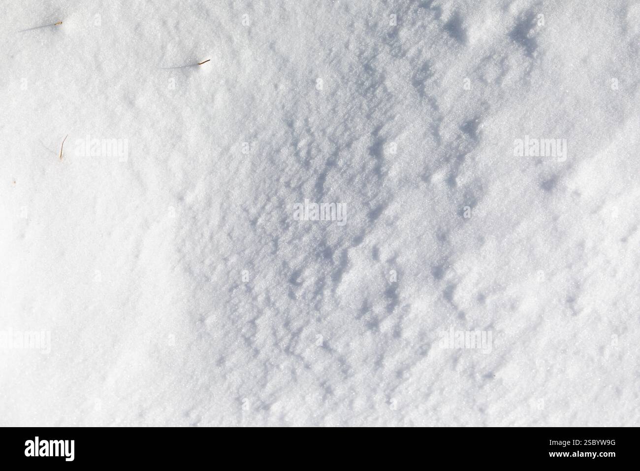 Background Texture of powdery snow, pristine white, intact, in the ...