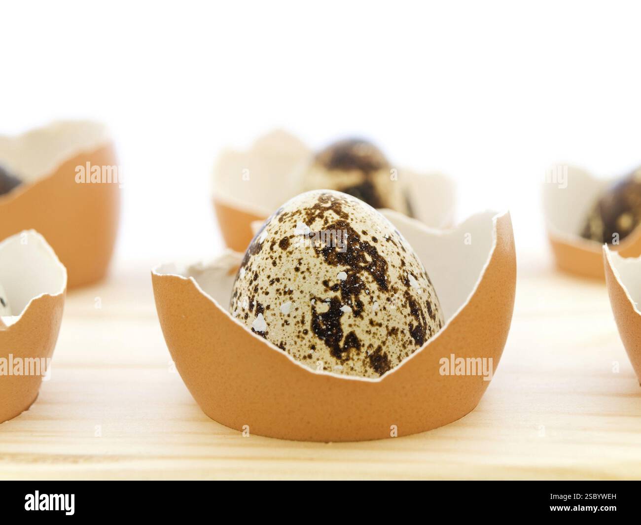 Quail Egg In The Chicken Egg Shell Stock Photo - Alamy