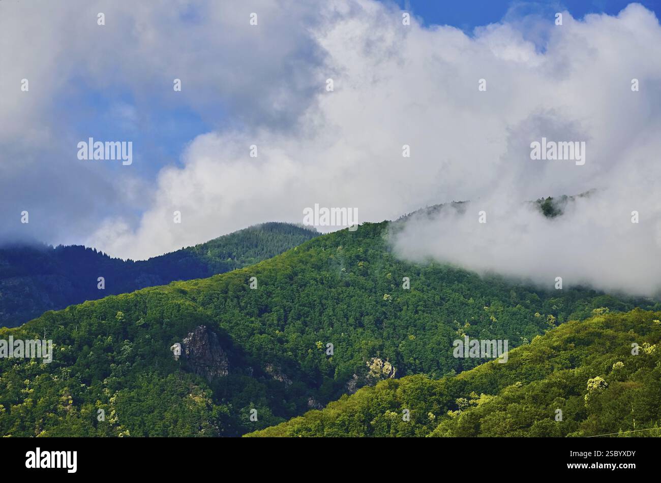 Carpathian Mountains in Romania Romania Stock Photo - Alamy