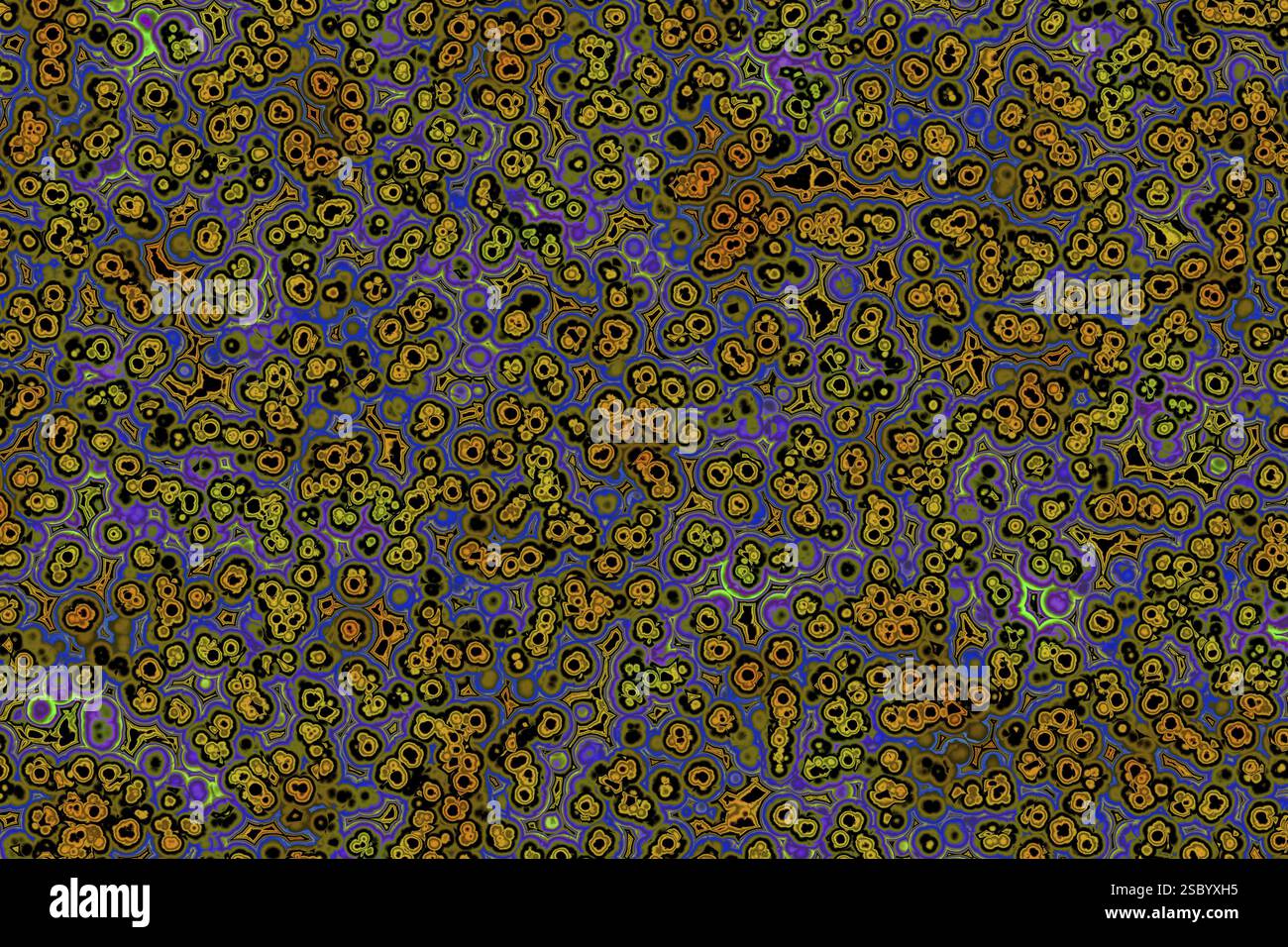 Shape of bacterial cell: cocci, bacilli, spirilla bacteria background ...