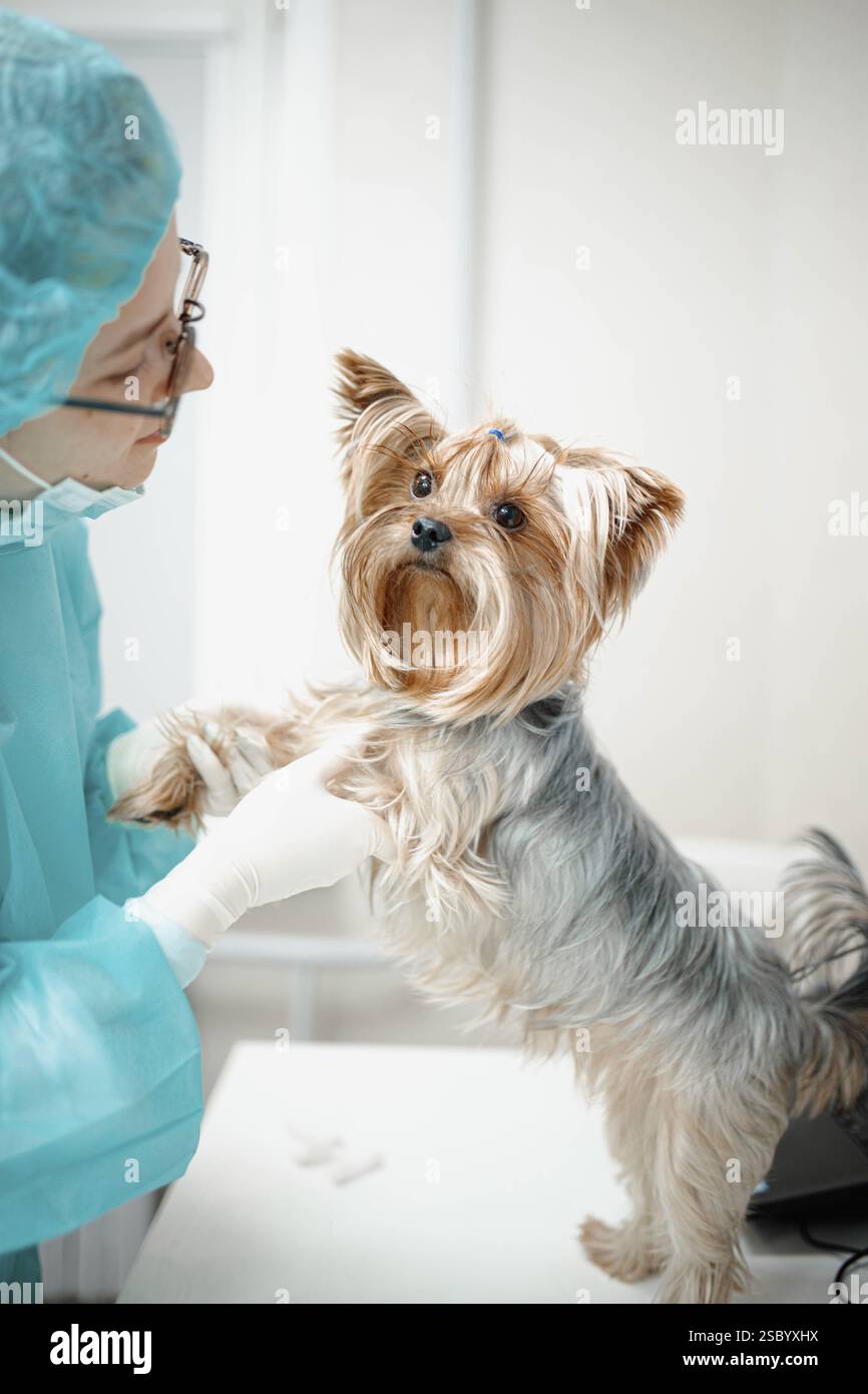 Clinical inspection hi-res stock photography and images - Alamy