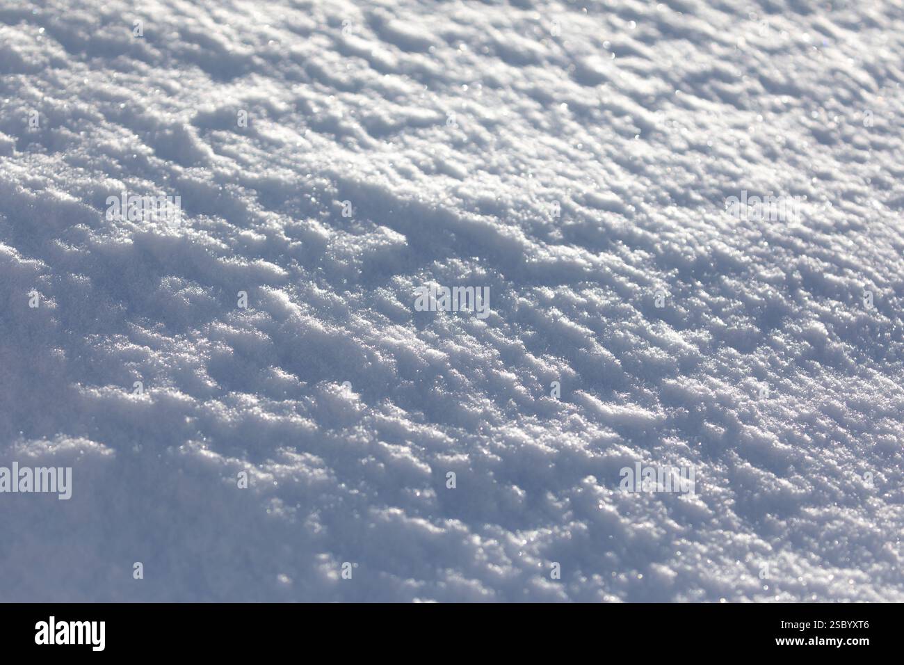 Background Texture of powdery snow, pristine white, intact, in the ...