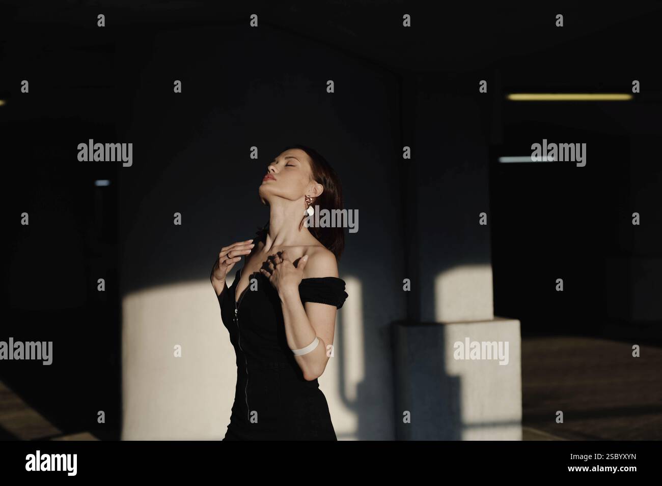 Elegant woman posing in a black dress with contrasting light and shadow ...